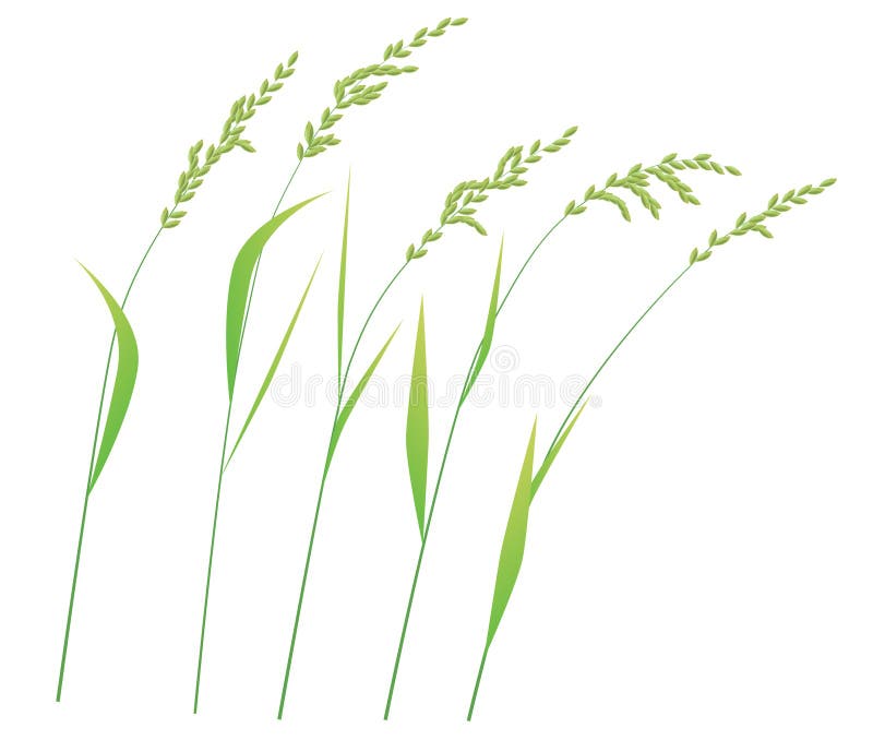 Wind Grass Stock Illustrations – 32,690 Wind Grass Stock Illustrations ...