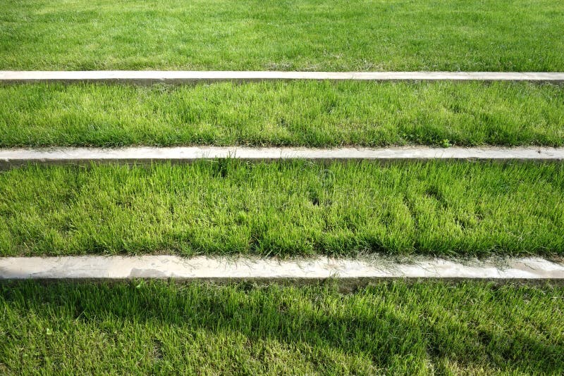 Grass Steps stock photo. Image of success, successful - 43691088