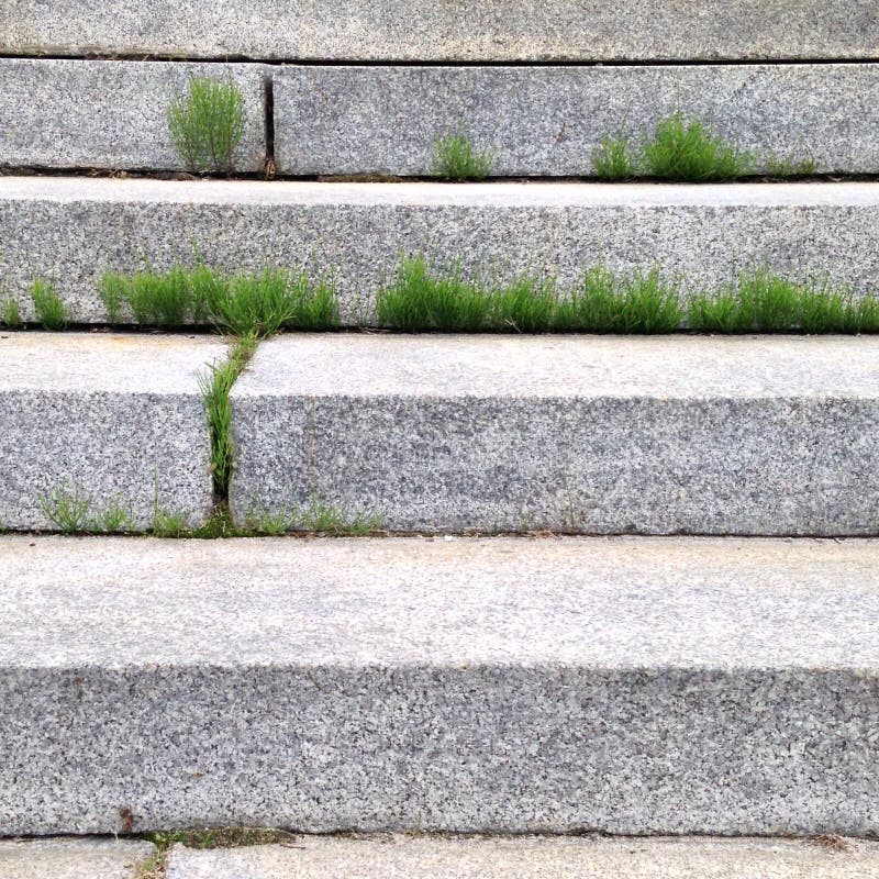 Grass between steps stock photo. Image of stairs, takes - 58479890