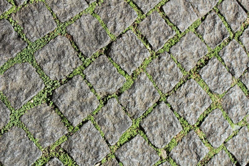 Grass and Stone Floor Pattern Stock Image - Image of rough, paving ...