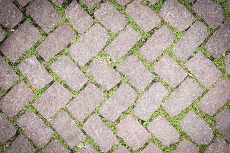 Grass Stone Floor Texture Pavement Design. Stock Image - Image of moss ...