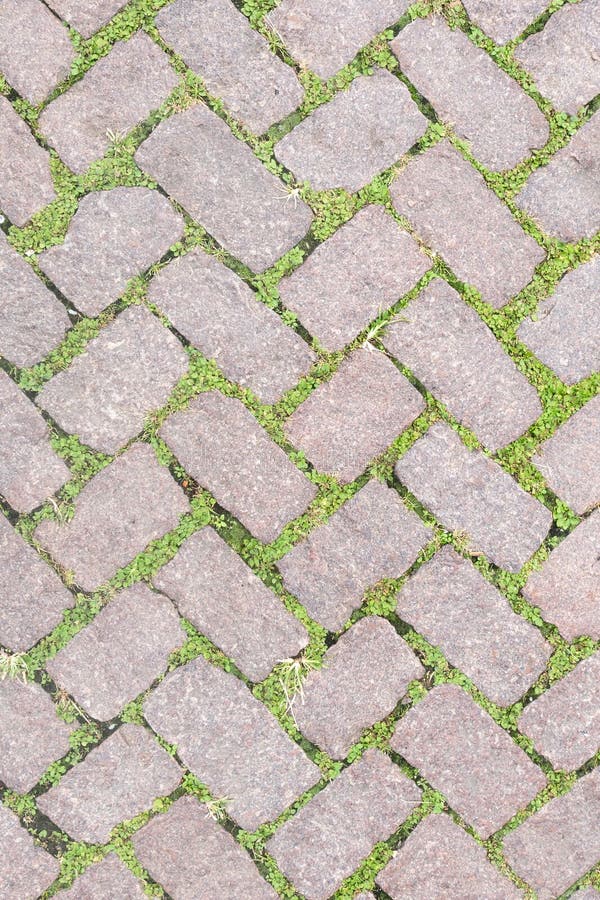 Grass Stone Floor Texture Pavement Design Stock Image - Image of garden ...