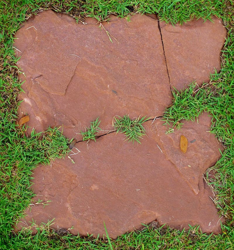 Grass and stone texture stock photo. Image of grass, asphalt - 5455884