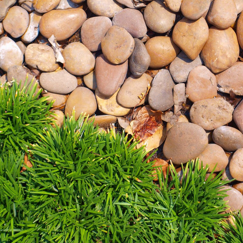 Grass and stones stock image. Image of europe, lane, close - 23893517