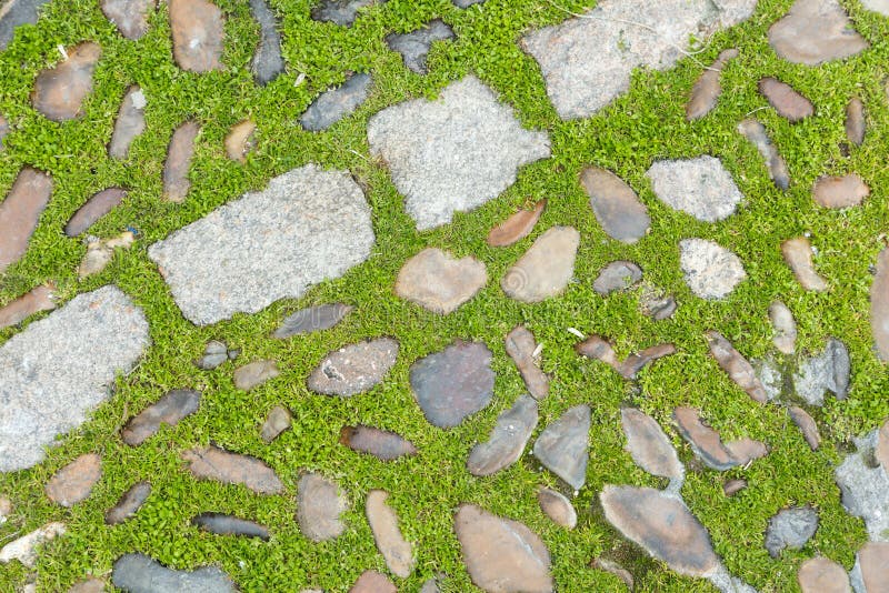 Grass and stones stock image. Image of footpath, ground - 50435417