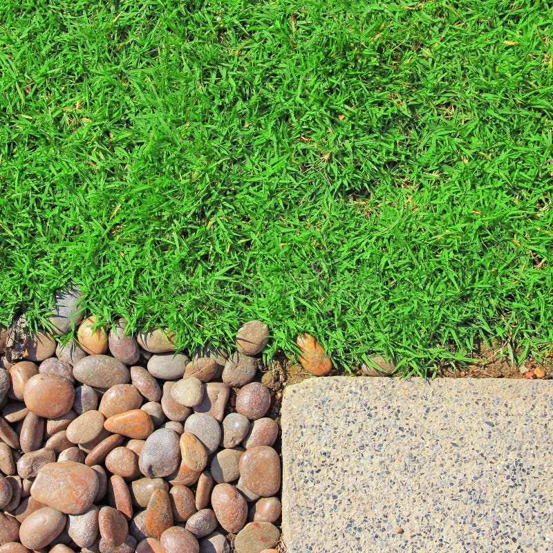 Grass stones texture stock photo. Image of nature, interior - 24990188
