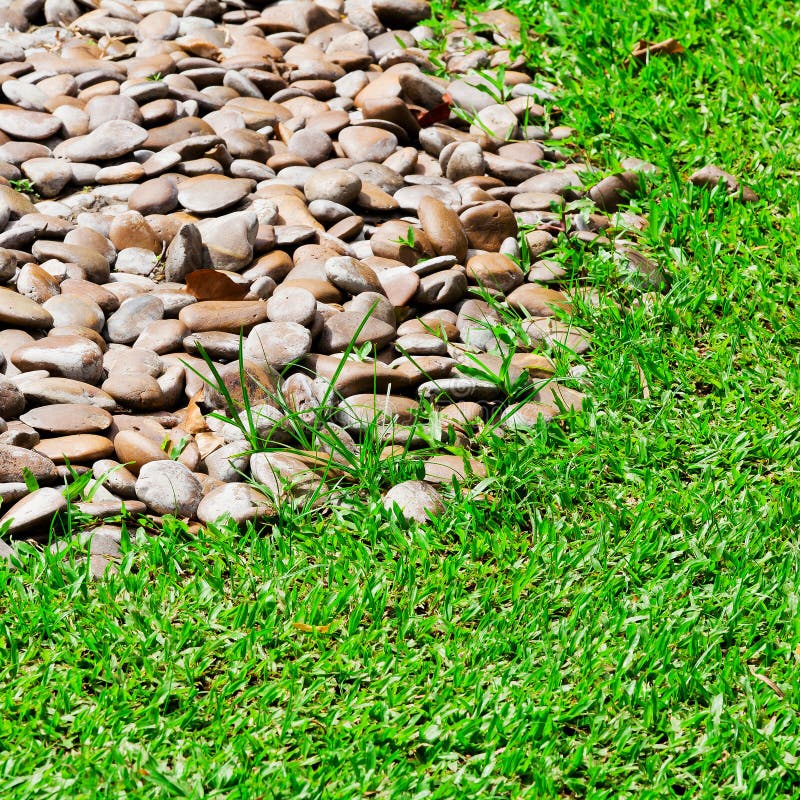 Grass and stones Texture stock image. Image of ancient - 37846751