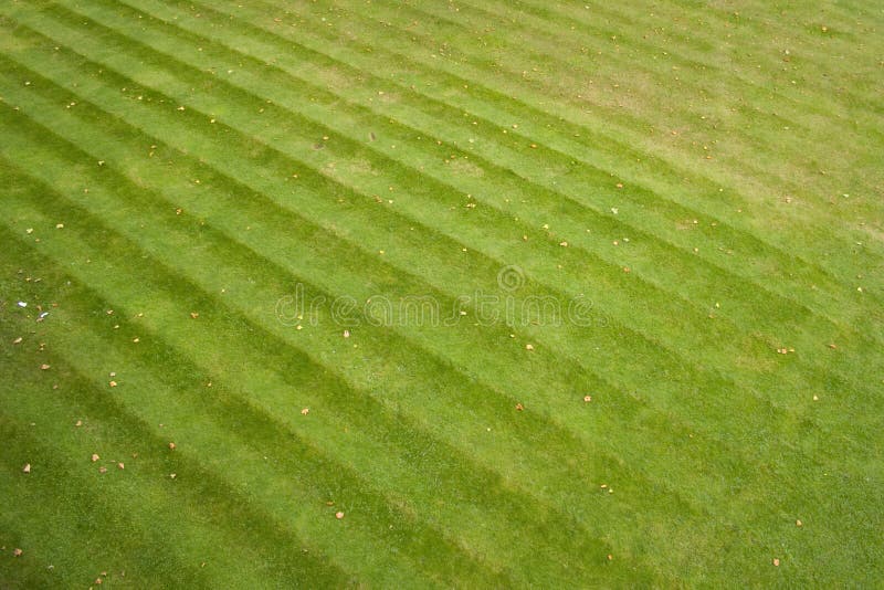 Grass stripes stock image. Image of sport, stripe, green - 24167973