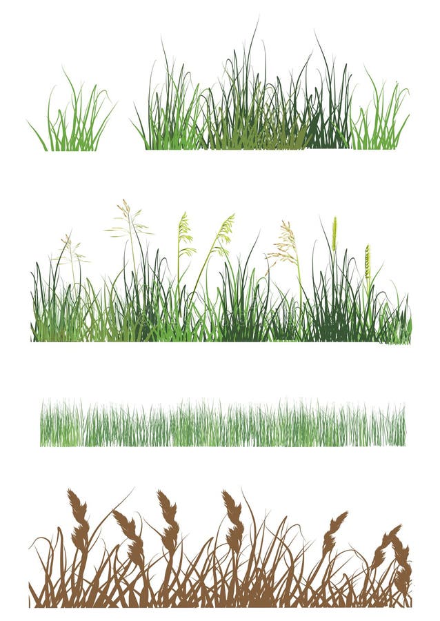 Grass Strips Collection Isolated on White Stock Vector - Illustration ...