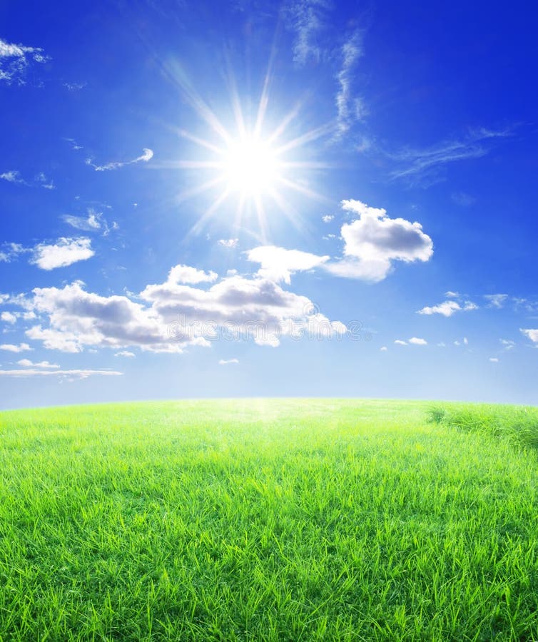 Green grass and trees stock image. Image of farm, scenic - 42173881