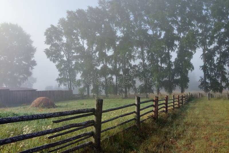 Grass on a Sunny Summer Meadow, Field Path Running Away Over Horizon ...