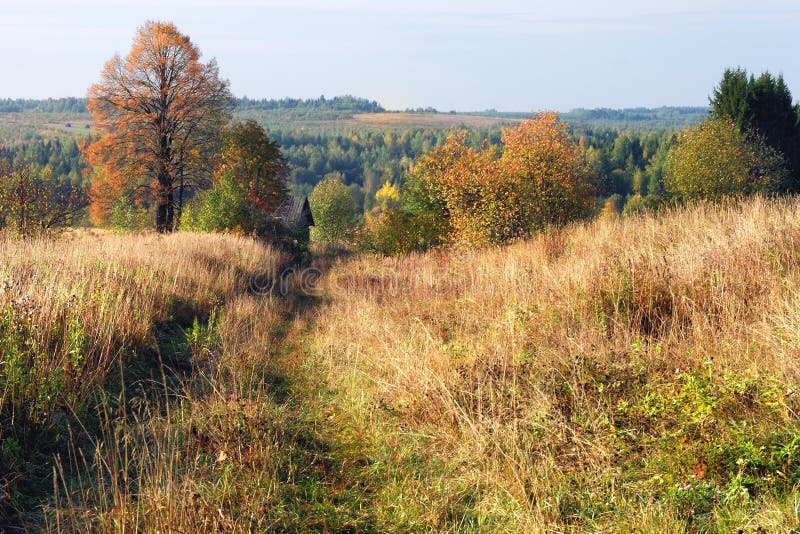 Grass on a Sunny Summer Meadow, Field Path Running Away Over Horizon ...