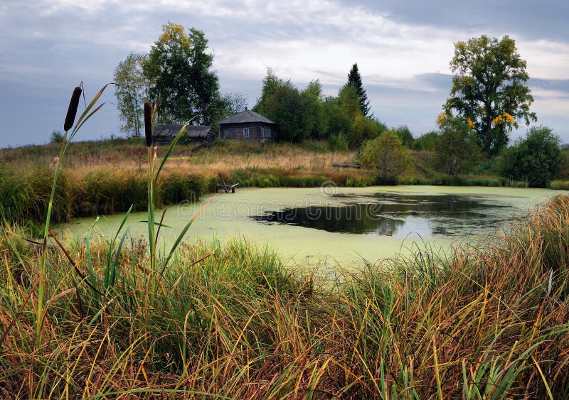 Grass on a Sunny Summer Meadow, Field Path Running Away Over Horizon ...