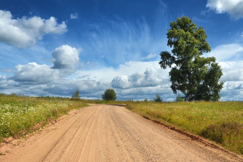 Grass on a Sunny Summer Meadow, Field Path Running Away Over Horizon ...