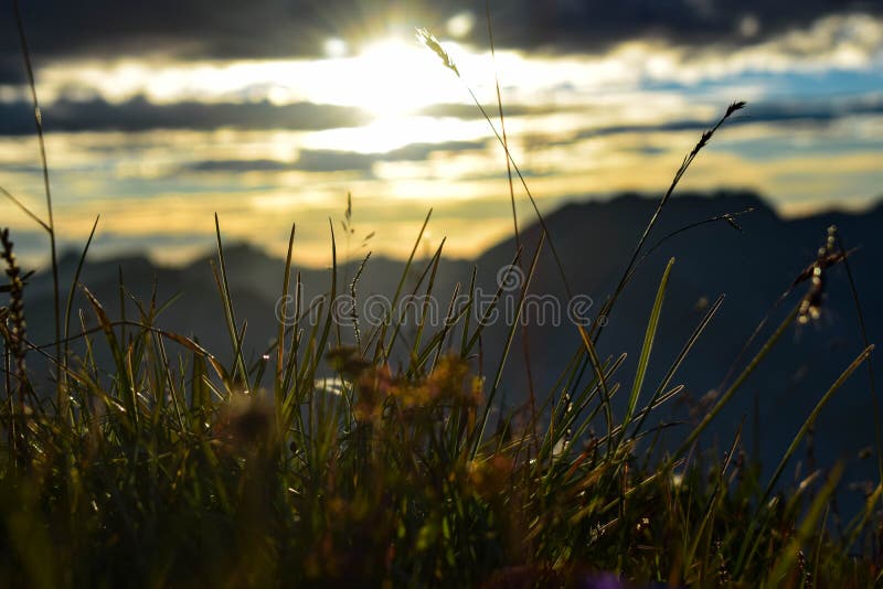 Grass with Sunrise in Background Stock Image - Image of cliff, playing ...