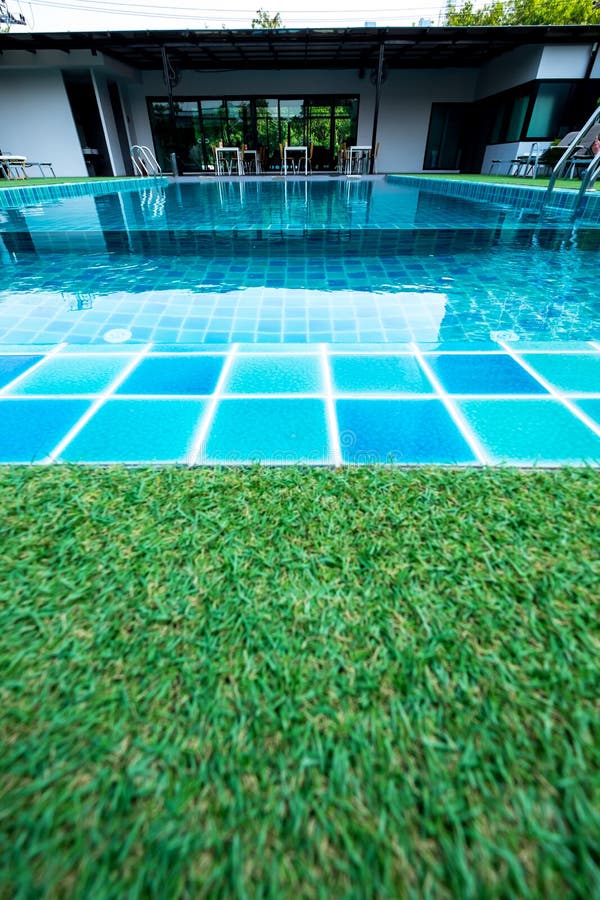 Grass on swimming pool stock image. Image of hotel, margarita - 68507079