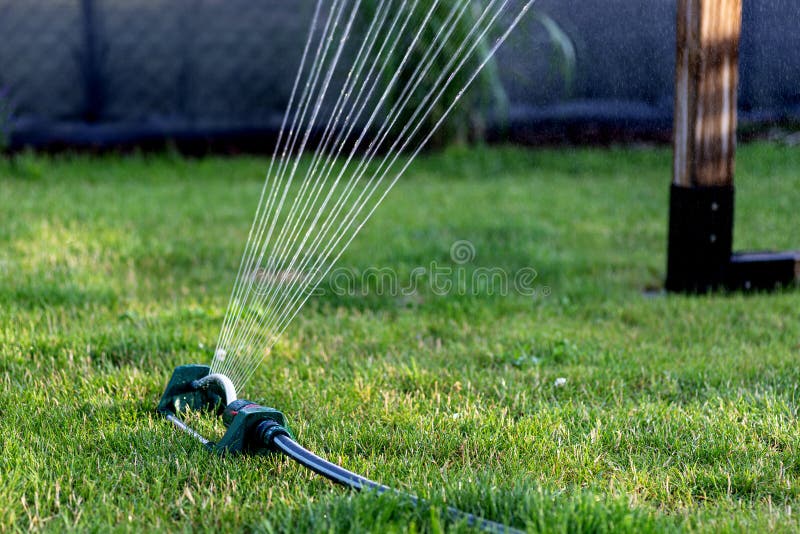 Grass Swing Sprinkler Watering the Lawn in the Backyard of a House ...