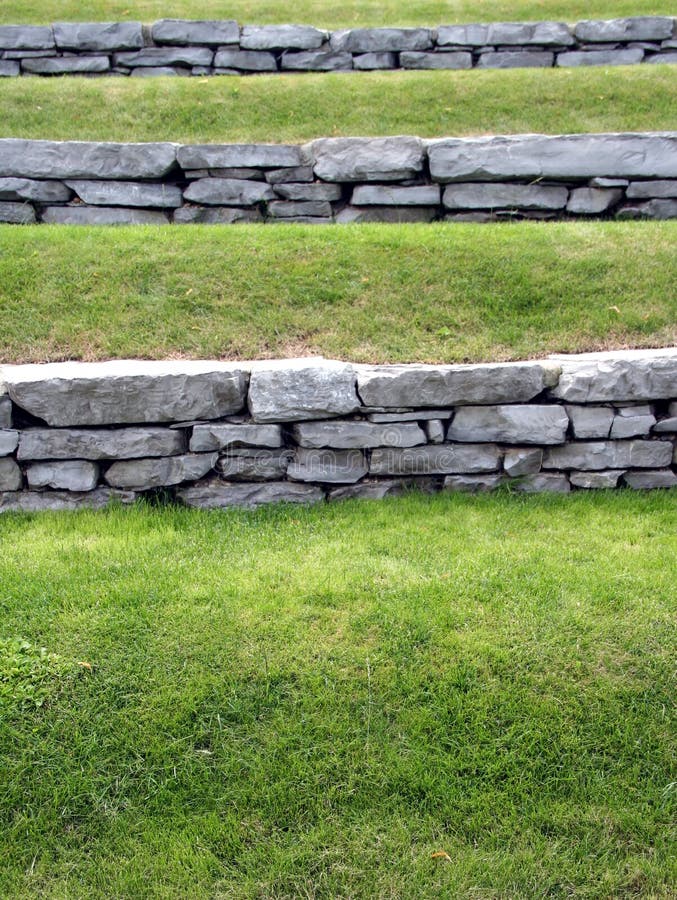 Grass terraced stock photo. Image of green, grass, terrace - 16241282
