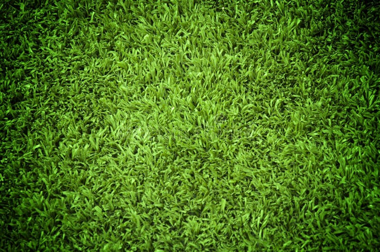 Grass Texture stock photo. Image of lawn, pasture, front - 28280706