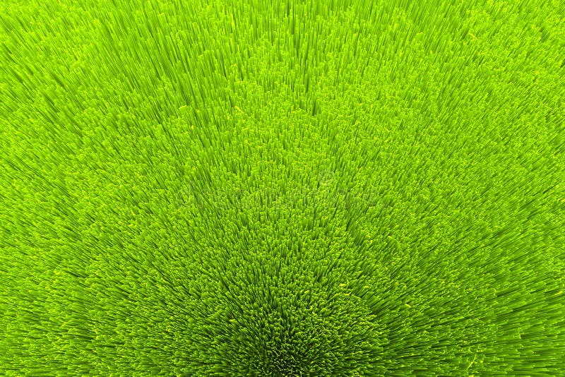 Abstract Grass Closeup Texture Stock Illustration - Illustration of ...