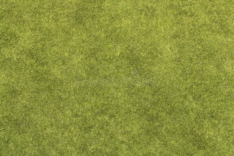 Grass Texture stock image. Image of ground, plant, green - 105139251