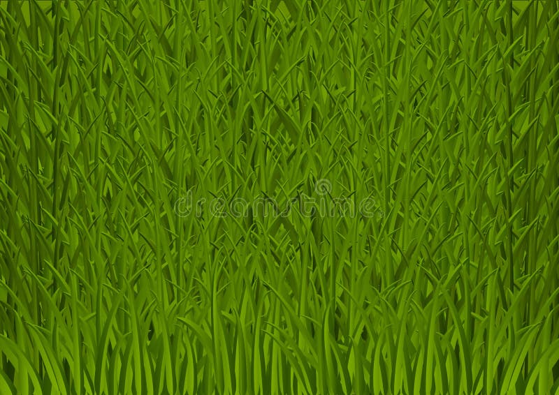Grass texture stock vector. Illustration of lawn, abstract - 34209746