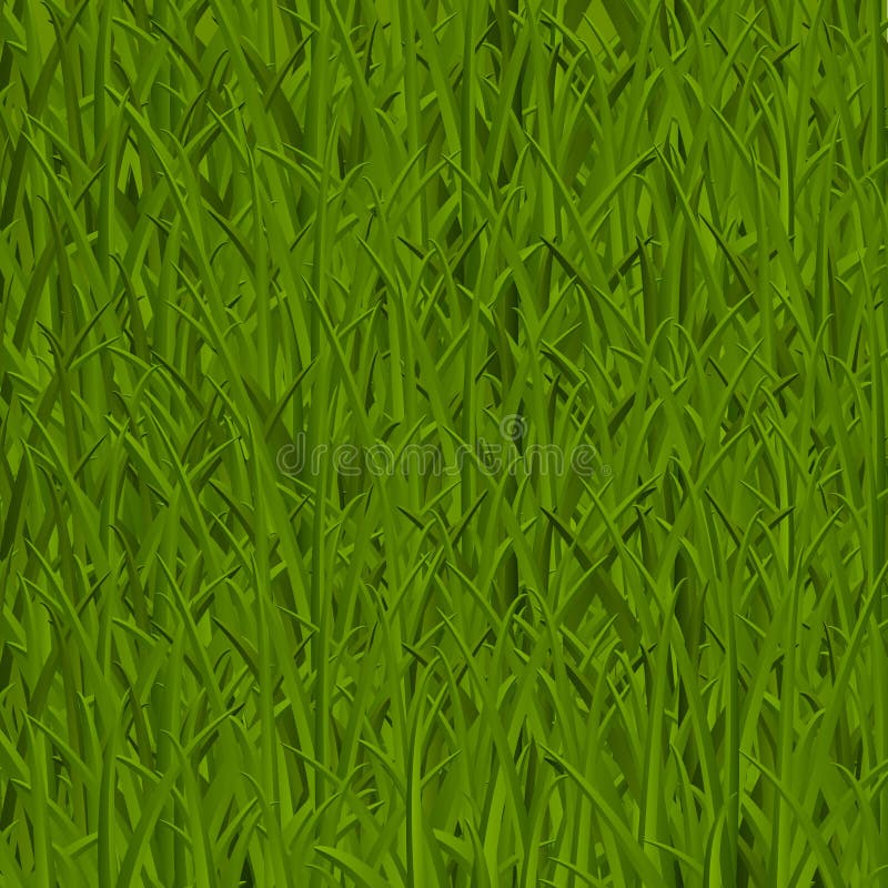 Grass texture stock vector. Illustration of botany, natural - 34209867