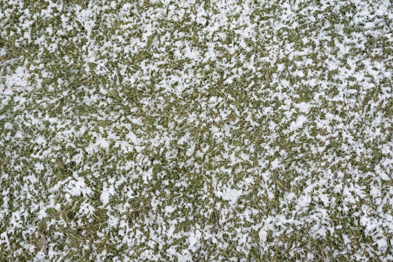 Grass Texture with Spots of Snow Stock Photo - Image of filling, white ...