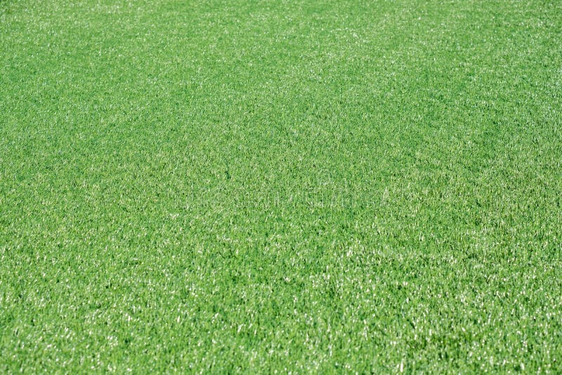 Grass Texture Stretching into the Distance Perspective of a Field Stock ...