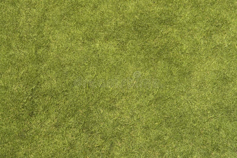 Grass Texture Stock Photo - Image: 46217414