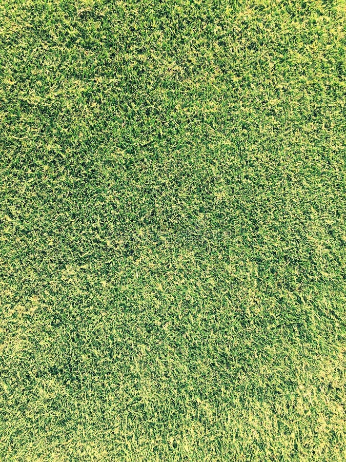 Grass Texture Vintage Effect Stock Image - Image of nobody, fresh: 59506419