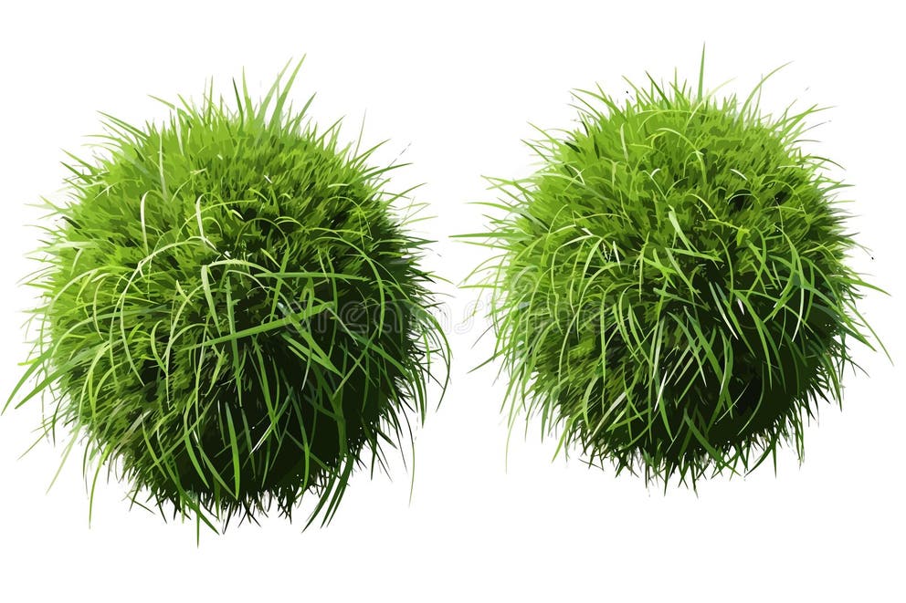 Grass Textured Spheres Isolated Isolated Illustration Stock Vector ...