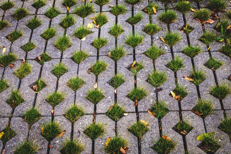 Grass between tiles stock image. Image of road, cobblestone - 129085891