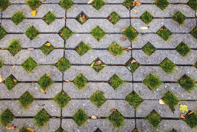Grass between tiles stock image. Image of pavement, grass - 129084515