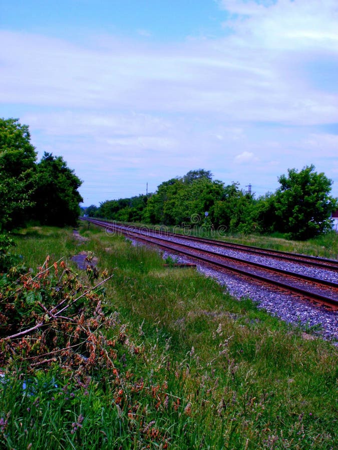 Grass Train Tracks Rail Weeds Stock Photo - Image of grass, weeds ...