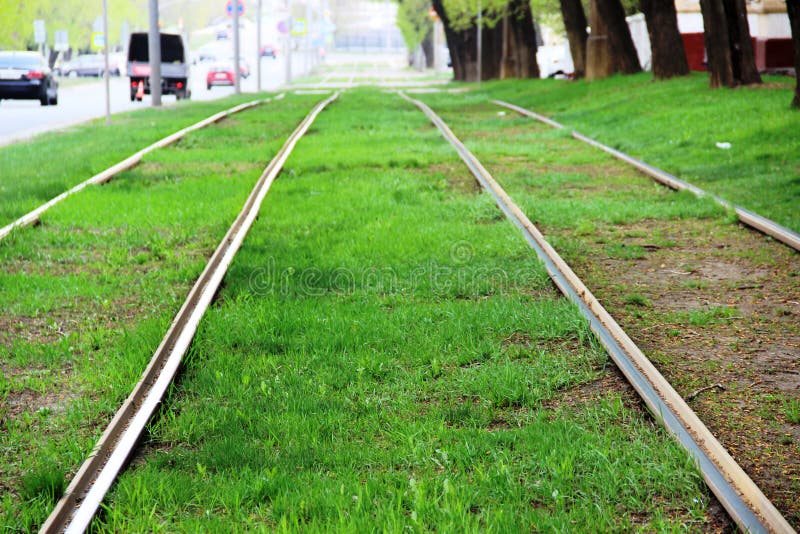 Grass on Tram Tracks in Spring Stock Photo - Image of beautiful, leaf ...