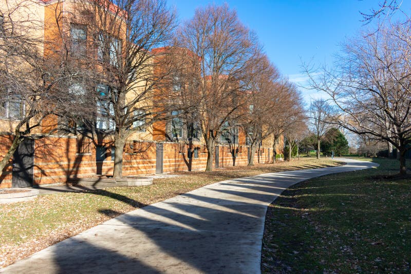 Tree Lined Sidewalk with a Stop Sign in Front of Old Homes in the Gold ...