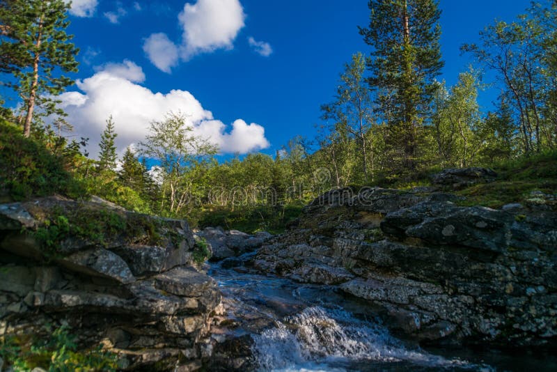 Small Waterfall on a Mountain Stream among the Rocks Stock Photo ...