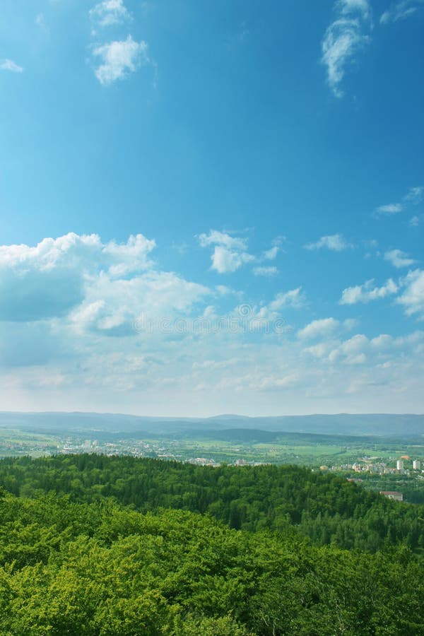 Grass and Trees on Blue Sky Stock Image - Image of grass, forest: 32844737