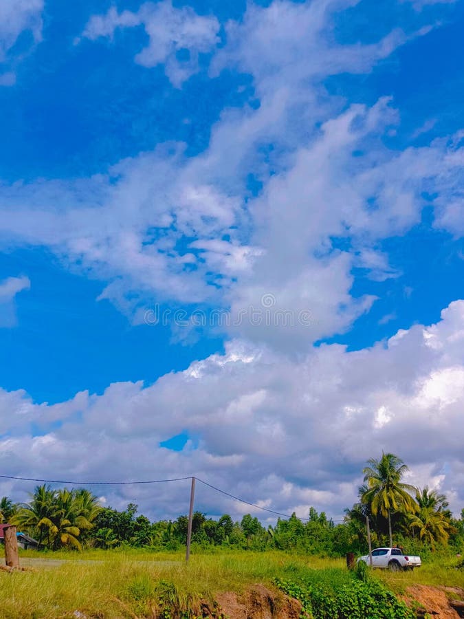 Grass and trees look lush stock photo. Image of trees - 269711930