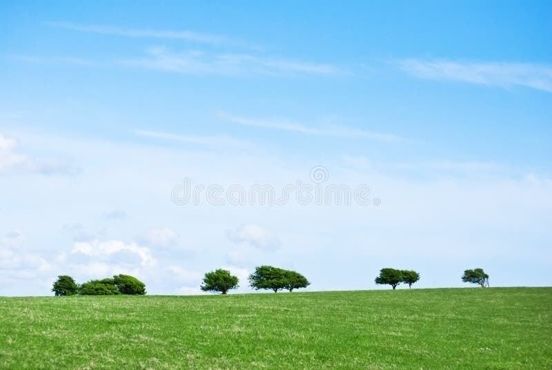 Grass Trees and Sky - Portrait Stock Image - Image of green, vertical ...