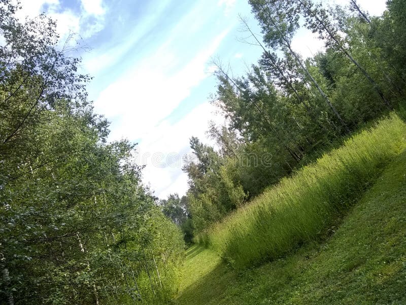 Trails stock photo. Image of grass, nature, trees, landscape - 121453432