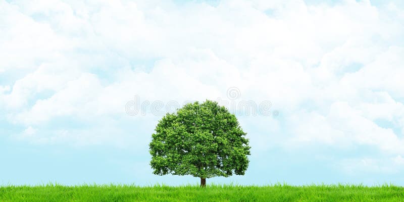 Grass and Trees View Cloudy Skies Wide Angle Landscape 3d Illustration ...