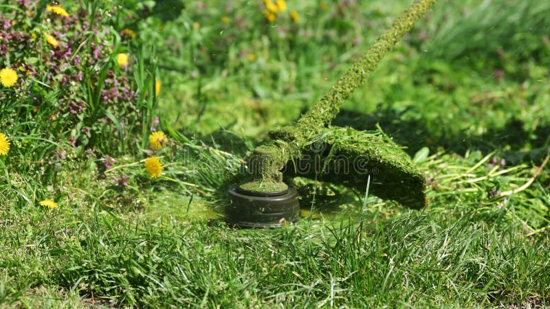 Grass Trimmer Cutting Lush Green Lawn Grass Blades Stock Photo - Image ...