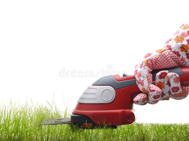Grass trimming stock photo. Image of nature, people, cutting - 24395774