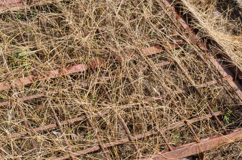 Grass trough metal stock photo. Image of grass, background - 76142074