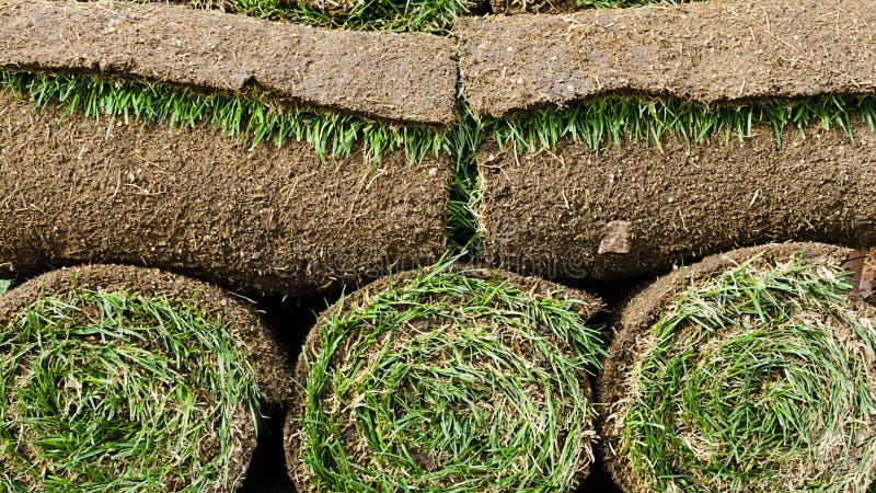 Rolls of Sod on a Turf Farm Stock Image - Image of rolls, turf: 18517167