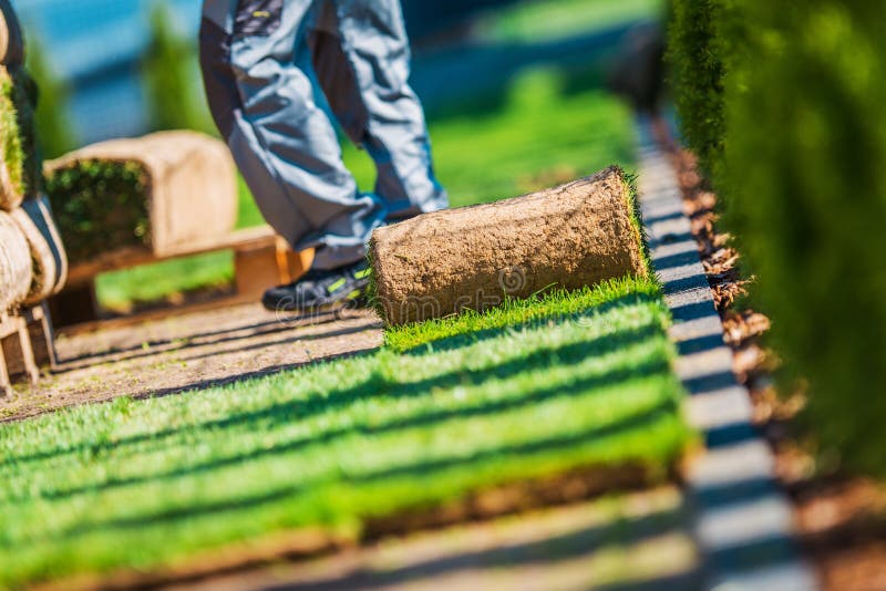 Grass Turfs Installation Work Stock Photo - Image of grass, backyard ...