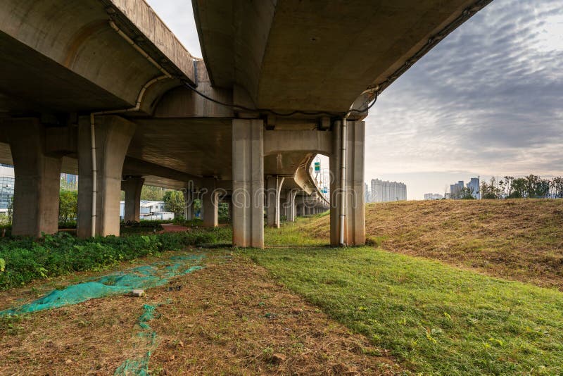 Grass Under the Overpass,Freeway, Overpass and Junction Stock Image ...