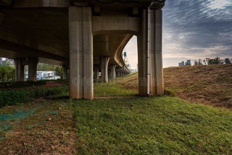 Grass Under the Overpass,Freeway, Overpass and Junction Stock Image ...